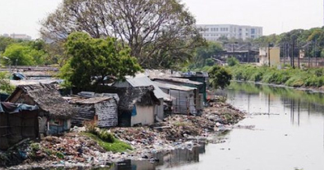 Live Chennai: Tons of waste dumped near Cooum is a big issue now ...