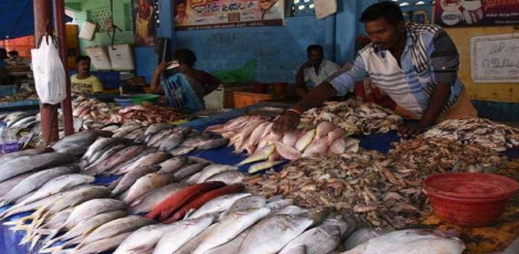 Live Chennai: Sensational!! New fish market with car parking facilities ...