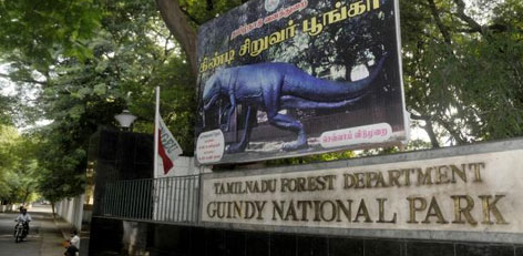 Live Chennai: Arignar Anna Zoological Park (Vandalur Zoo) will function ...