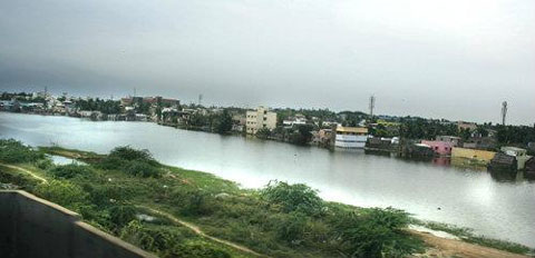 Live Chennai: Perungudi Lake Festival on Feb 12th,Perungudi Lake ...