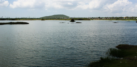 Live Chennai: Why is Parandur Lake near Chennai making many heads turn ...