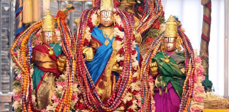 Live Chennai: TTD introduces group booking for darshan tickets,TTD ...