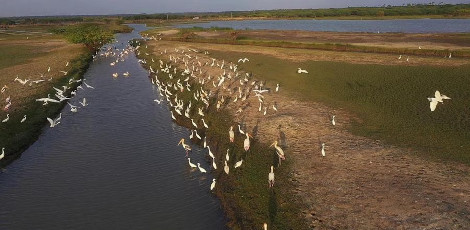 Live Chennai: Sensational information about bird island construction in ...