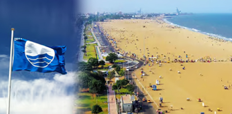 Live Chennai: Implementing Blue Flag programme at Marina Beach ...