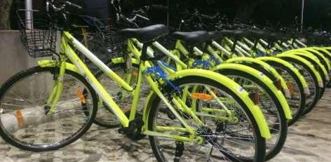 Live Chennai: Cycle sharing at IIT-M,Cycle sharing,IIT-M,IIT-M cycle ...