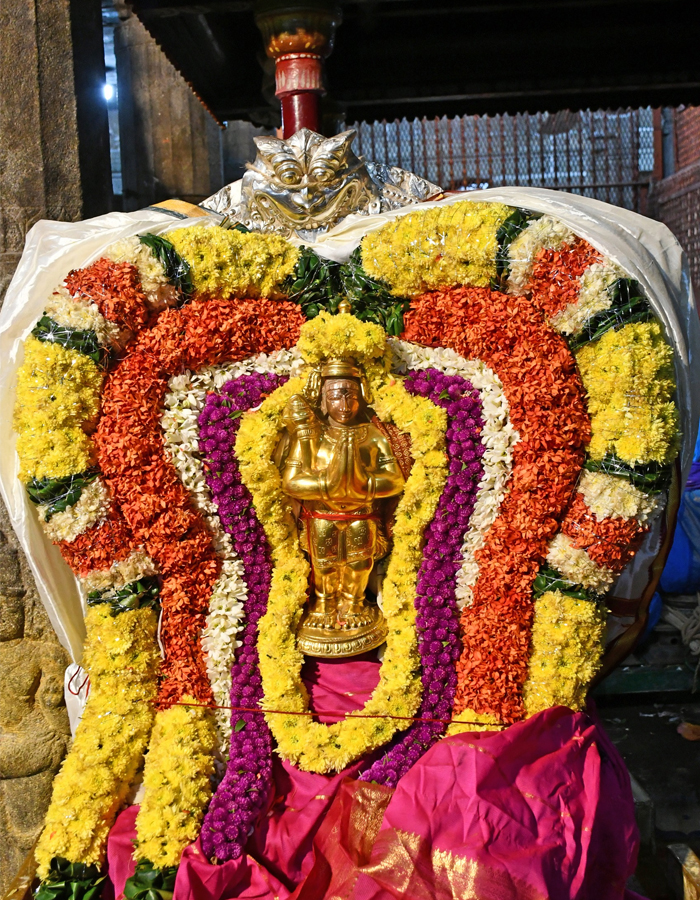 Live Chennai: Festival begins with flag hoisting at Tiruvannamalai ...