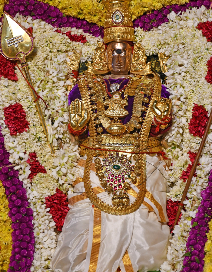 Live Chennai: Festival begins with flag hoisting at Tiruvannamalai ...