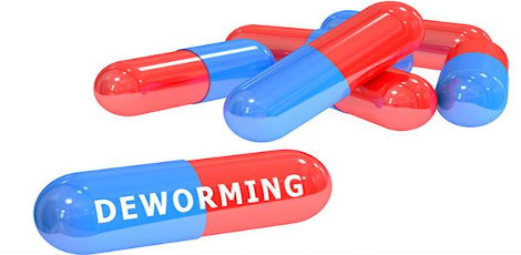 Live Chennai: De-worming tablets to be given by GCC,GCC, deworming, De ...